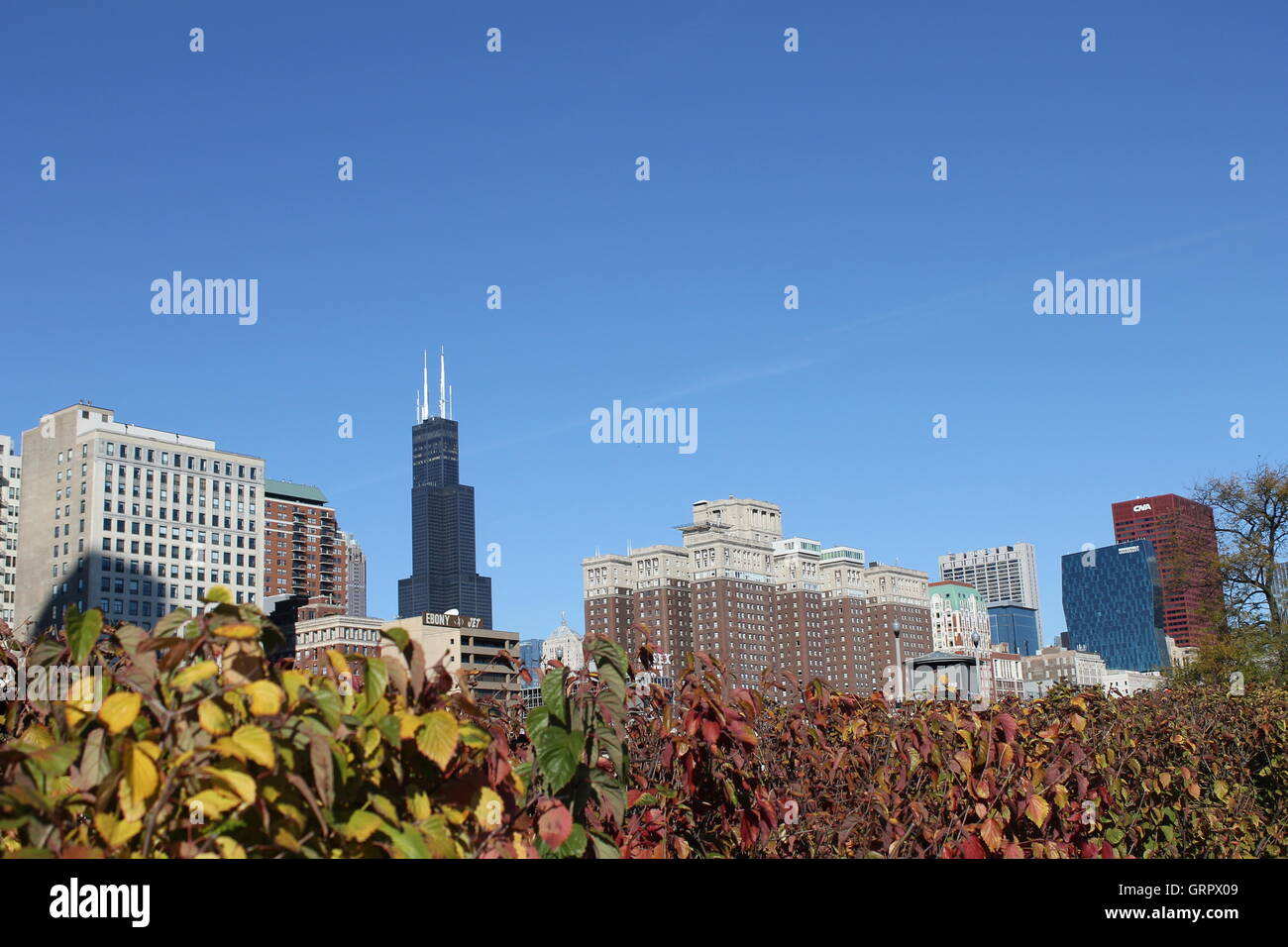 Chicago colors in nature hi-res stock photography and images - Alamy