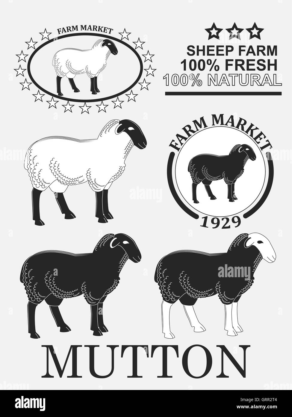 Set of premium lamb labels, mutton, badges and design elements. Vector ...