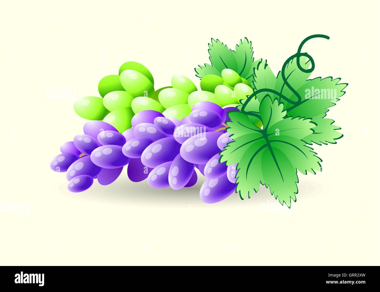 Branch blue grapes wine Stock Vector Images - Alamy