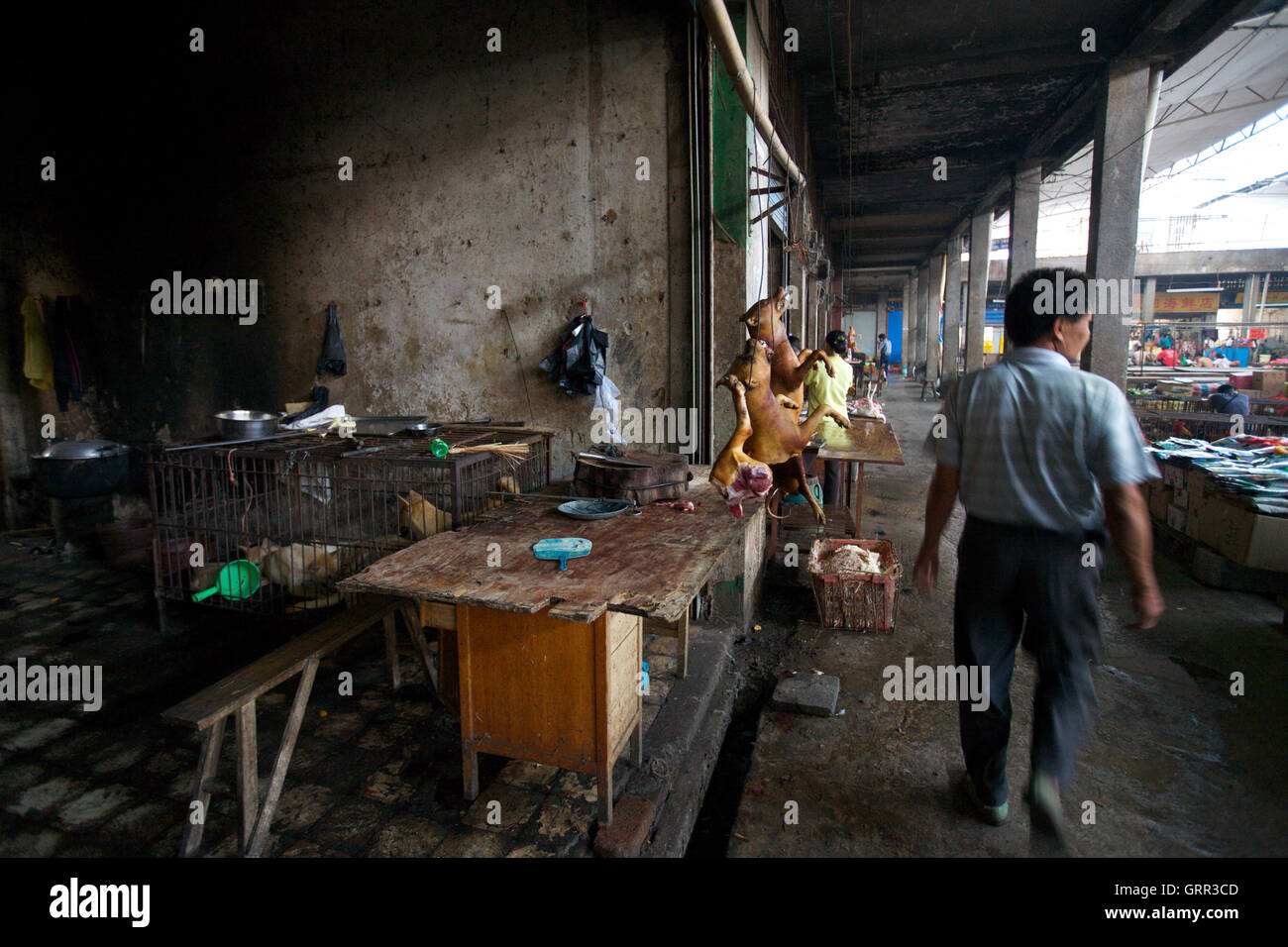 China meat dog cage hi-res stock photography and images - Alamy