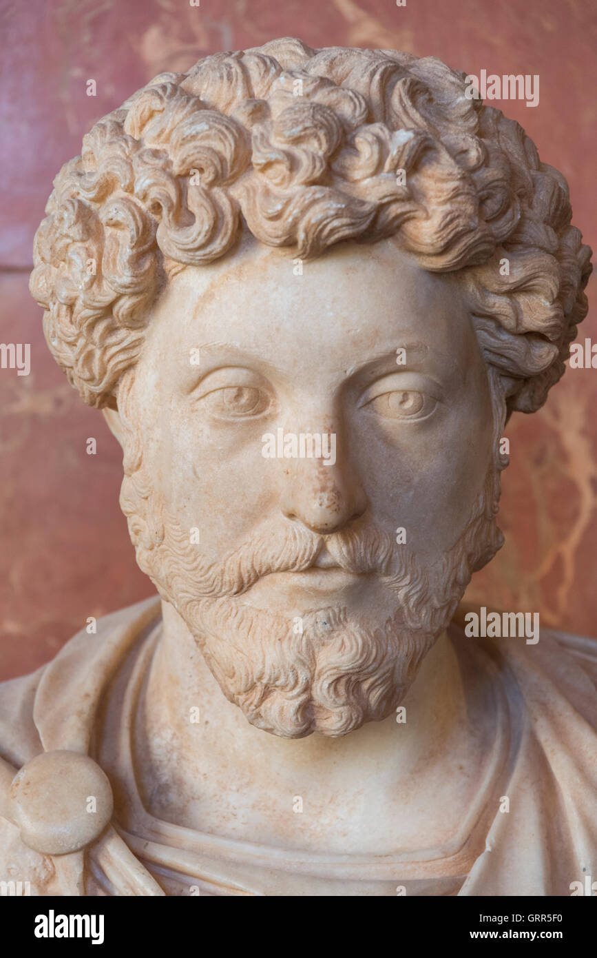 Marc hi-res stock photography and images - Alamy