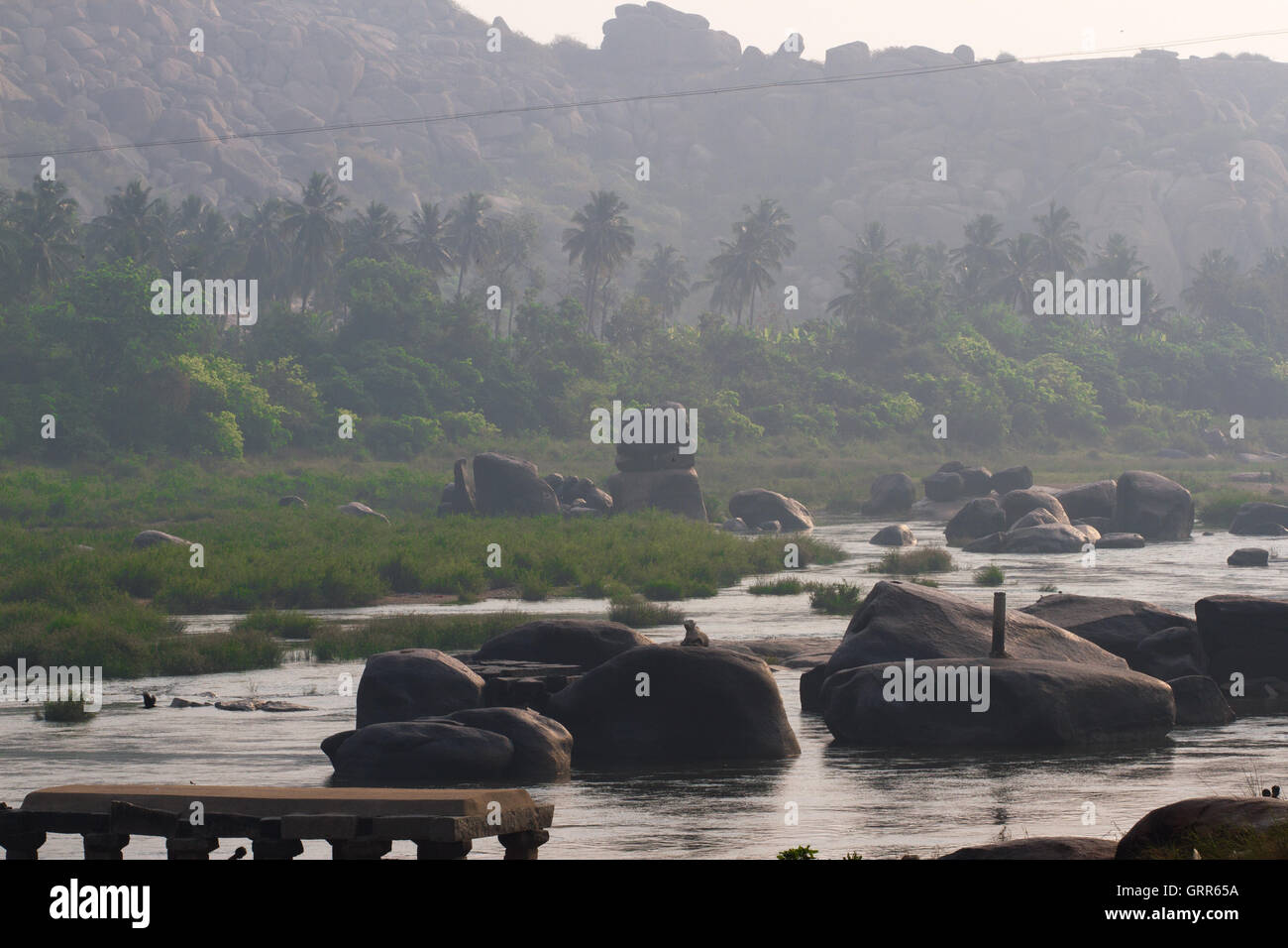 Hampi village Tungabhadra river meadow. Landscape with water, palm ...
