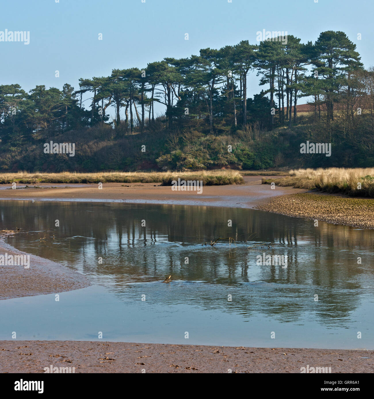A view across the Otter Estuary Nature Reserve at Budleigh Salterton on ...