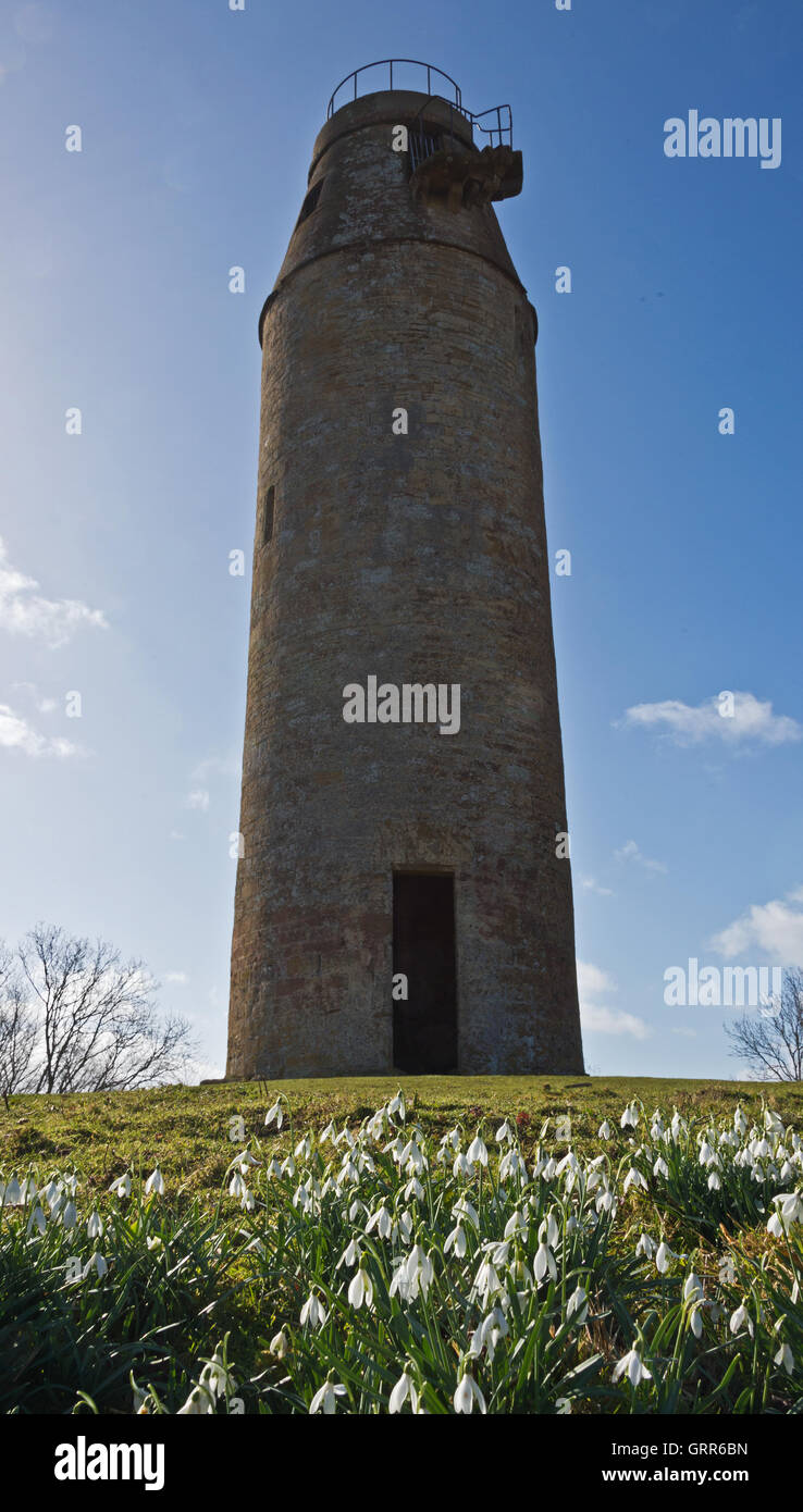 View across the top of St Michaels Hill, near Montacute in Somerset ...