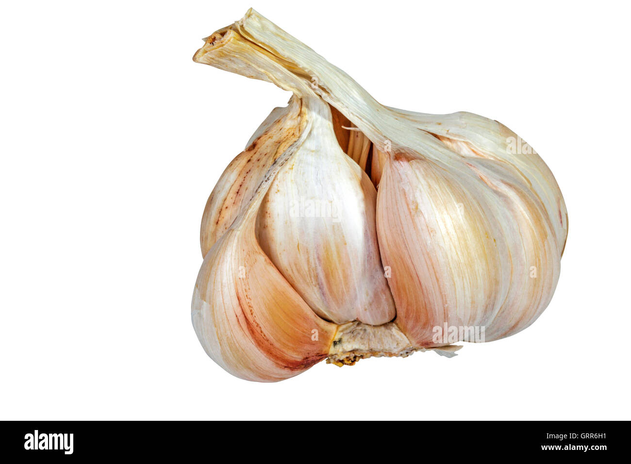 Studio shot of isolated organic head and cloves of garlic on white ...
