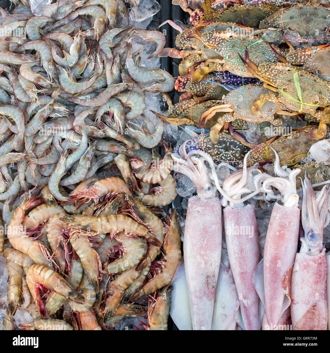 Kota kinabalu market fish hi-res stock photography and images - Alamy