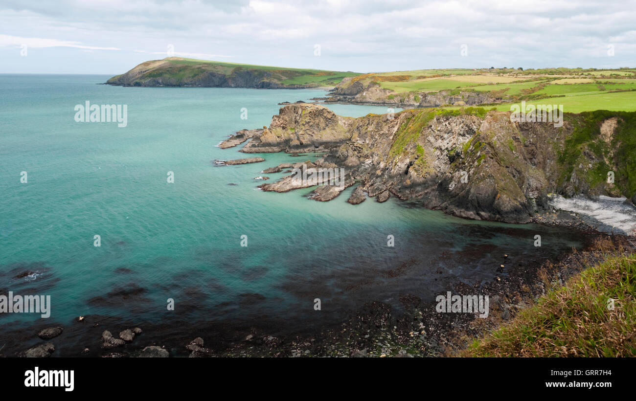 Dinas head pembrokeshire hi-res stock photography and images - Alamy