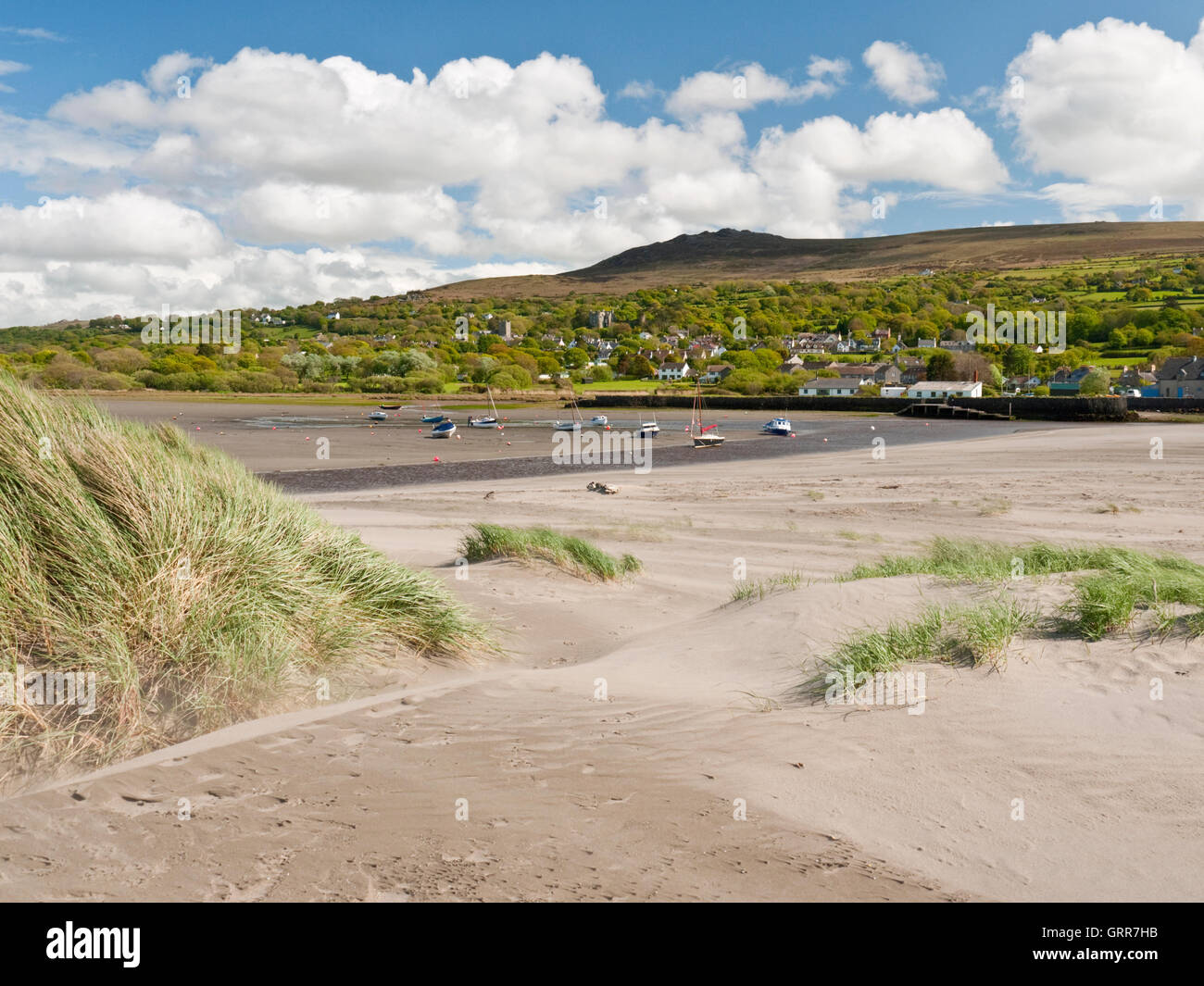The town of Newport (Trefdraeth) below Mynydd Carningli in ...