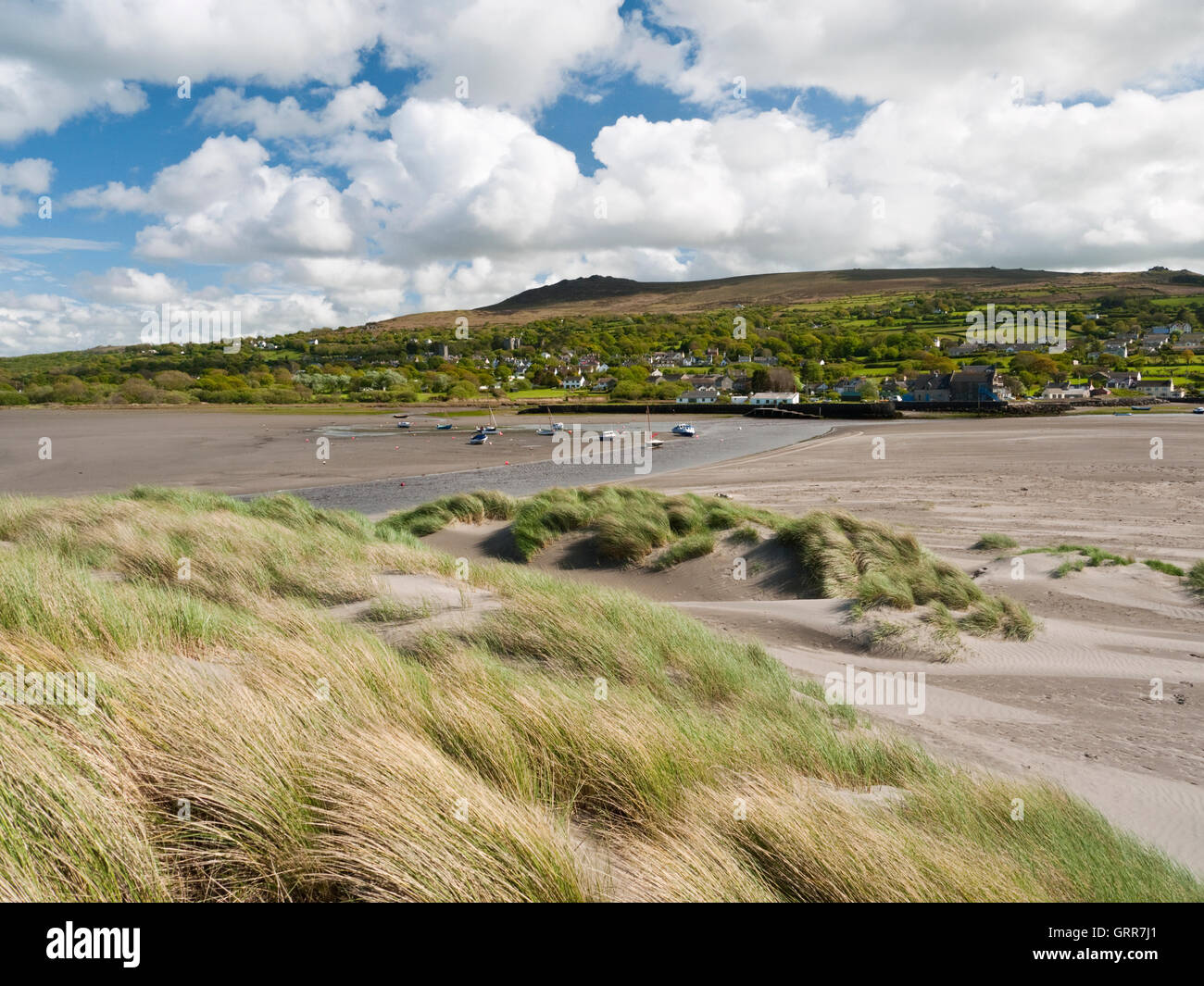 The town of Newport (Trefdraeth) below Mynydd Carningli in ...