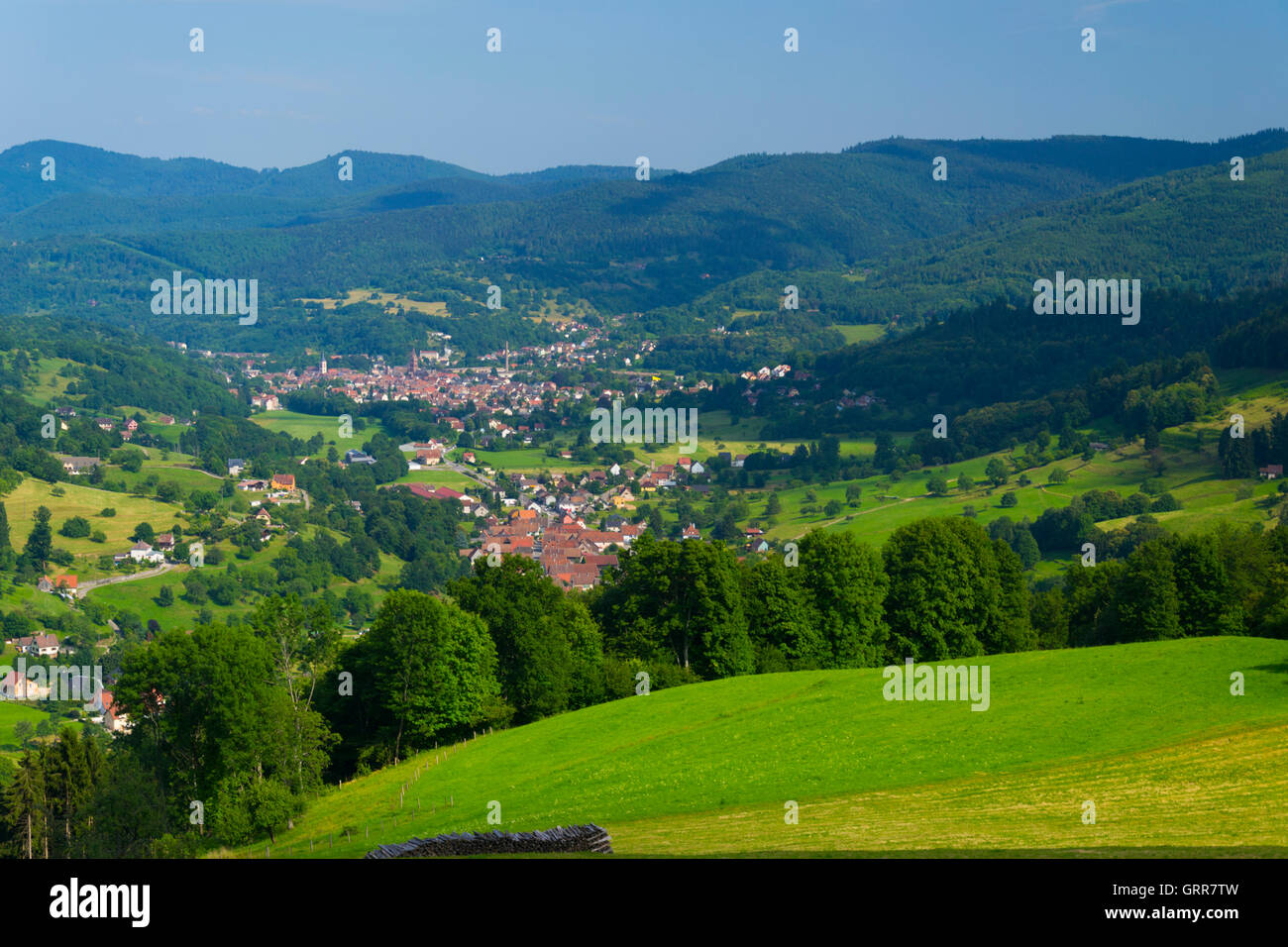 France, Haut-Rhin (68), Regional natural park of Ballons des Vosges ...
