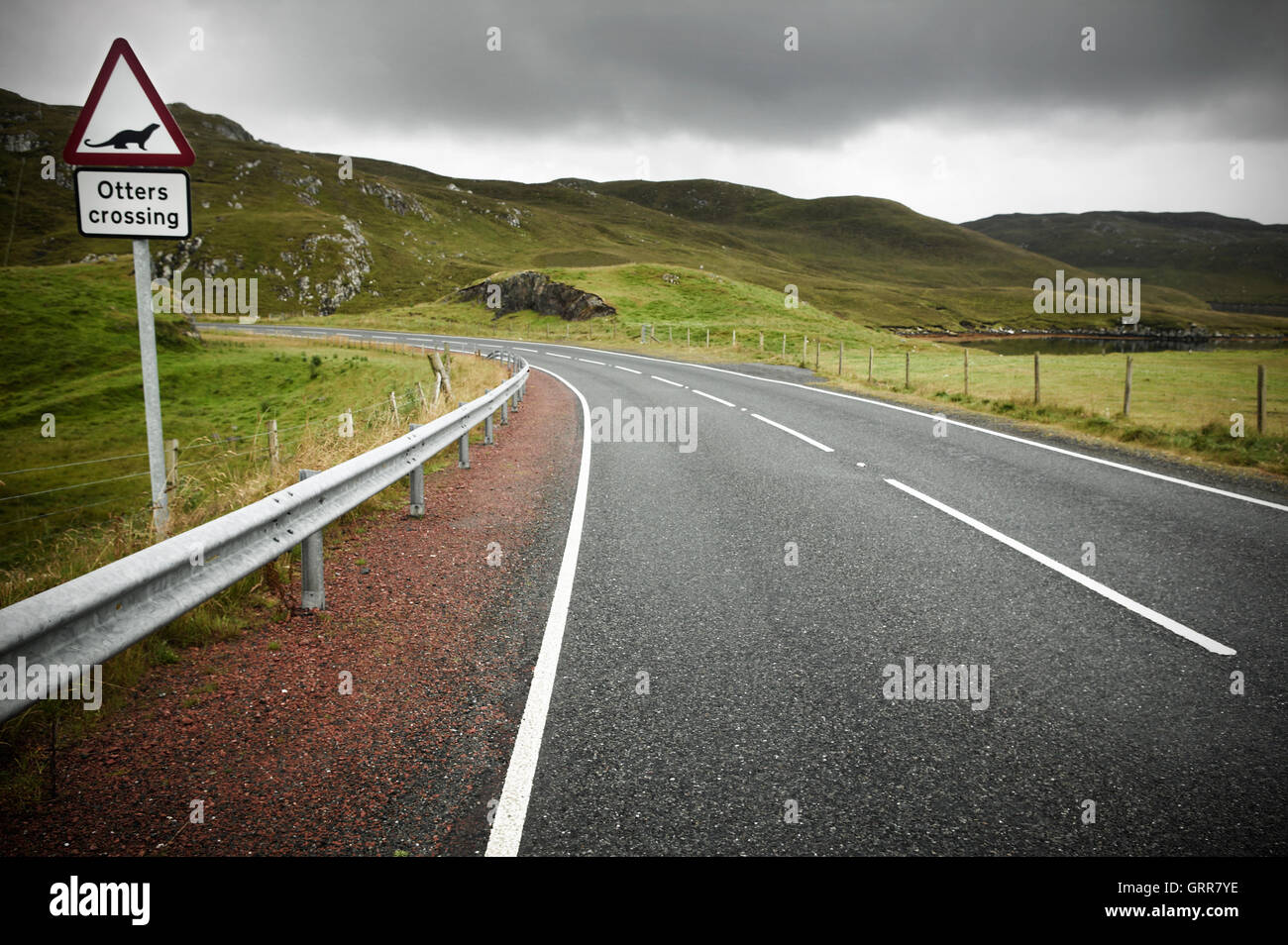 Scottish road with otters crossing traffic signal. Shetland. Scotland ...