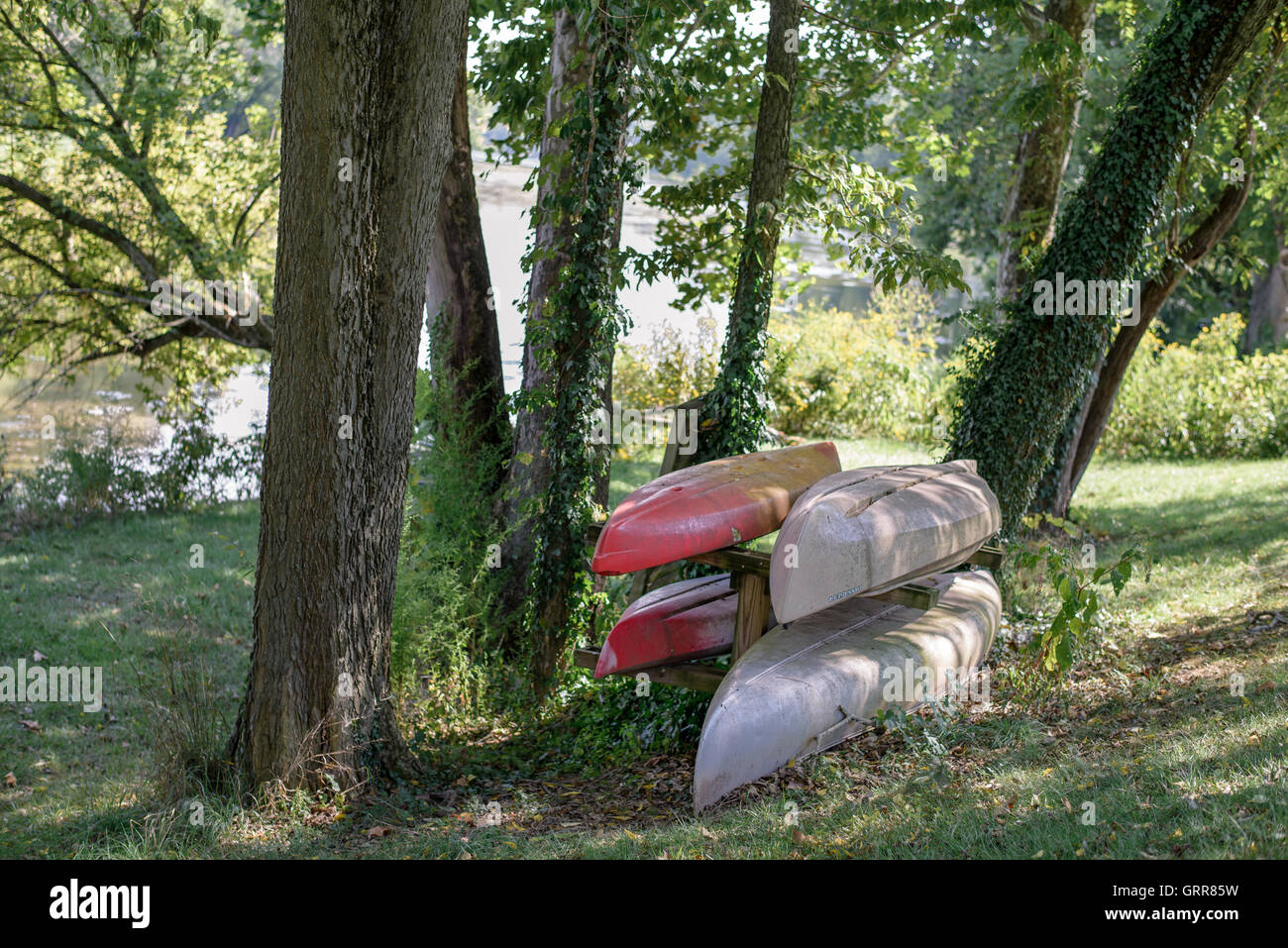 Canoes by a stand of trees Stock Photo - Alamy