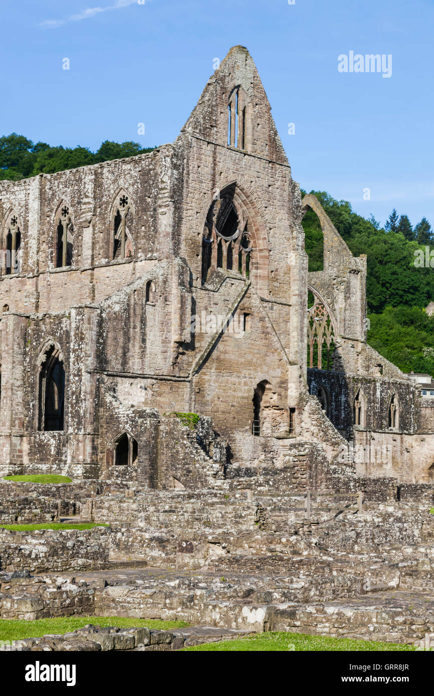 Wales, Monmouthshire, Tintern Abbey Stock Photo - Alamy
