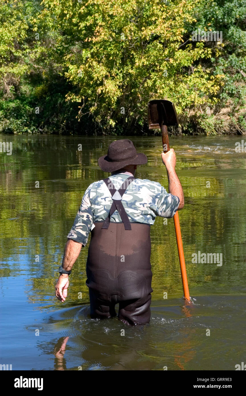 Gold digger at work in France in the river Gardon in the Gard ...