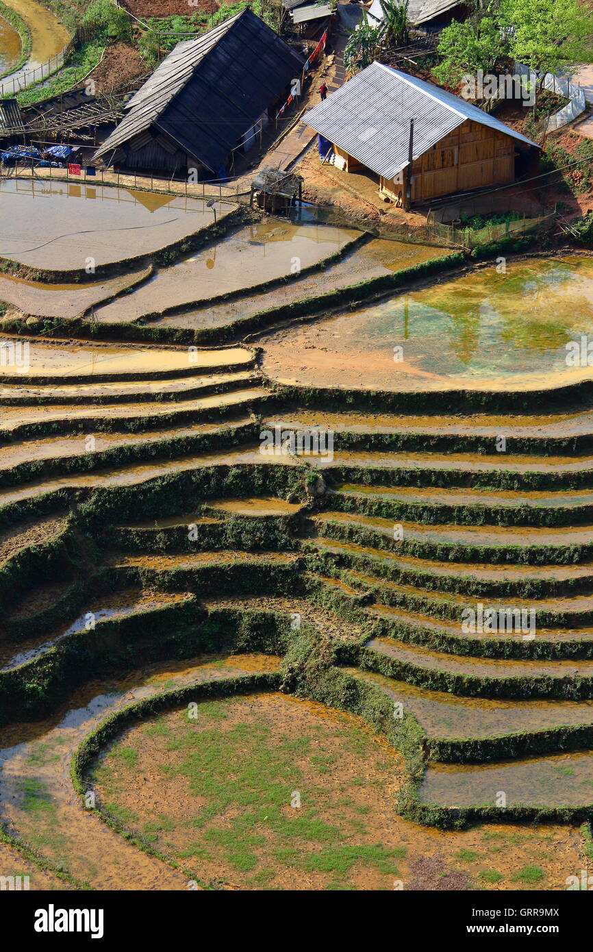 Landscape rice terrace field philippines hi-res stock photography and ...