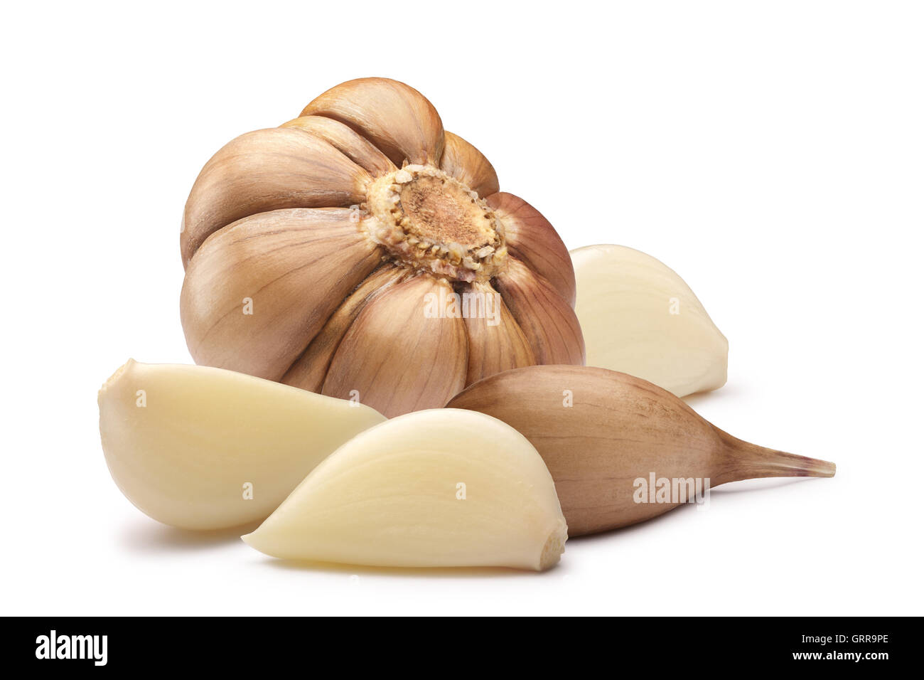 Garlic bulb with cloves together. Clipping paths, shadows separated ...