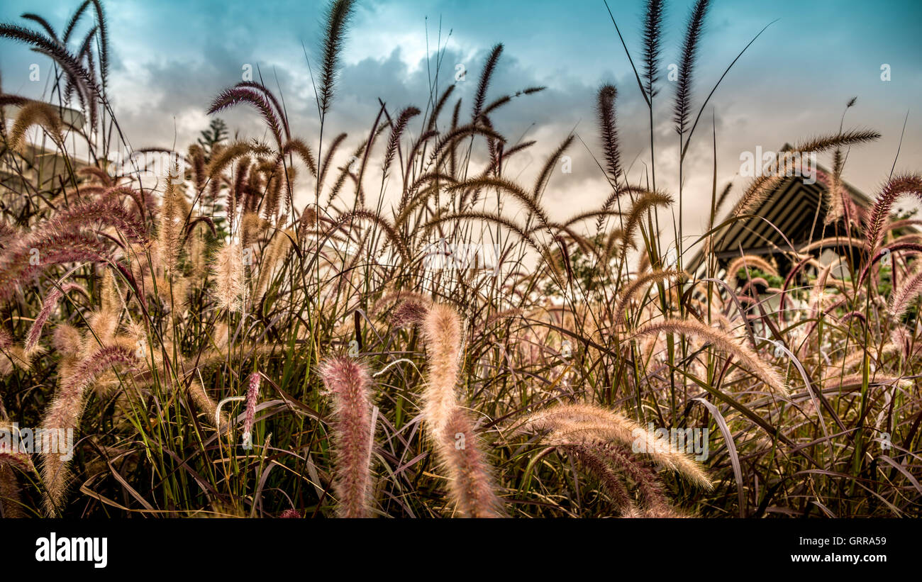 Hdr shot hi-res stock photography and images - Alamy