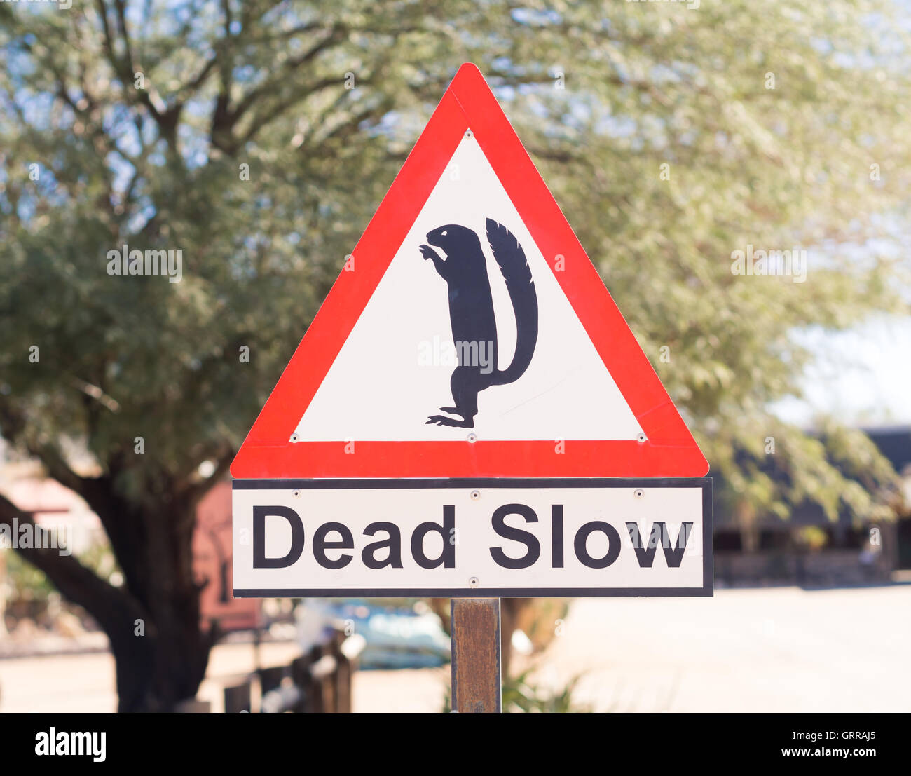 Dead slow road sign hi-res stock photography and images - Alamy