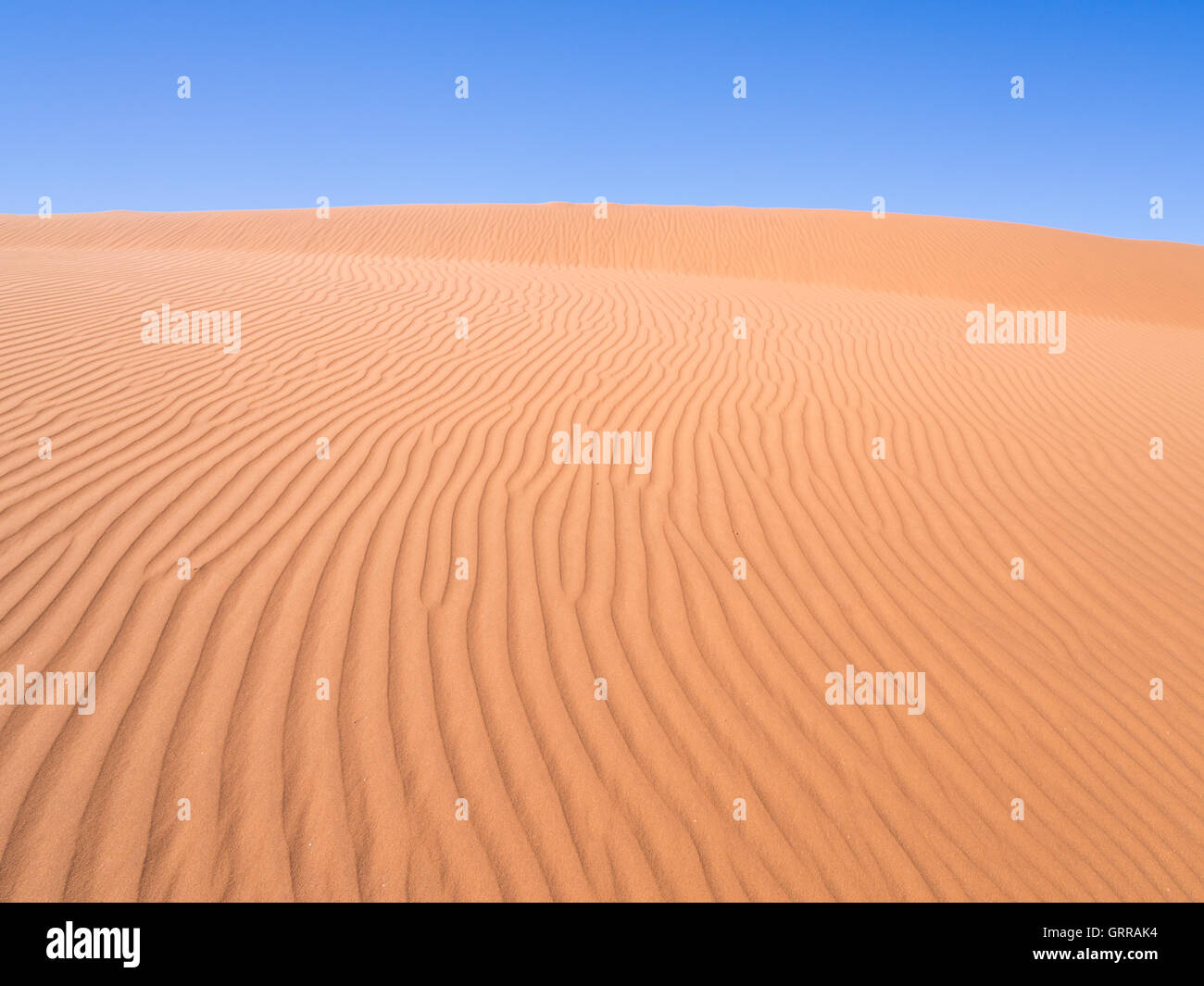 Namib sand hi-res stock photography and images - Alamy