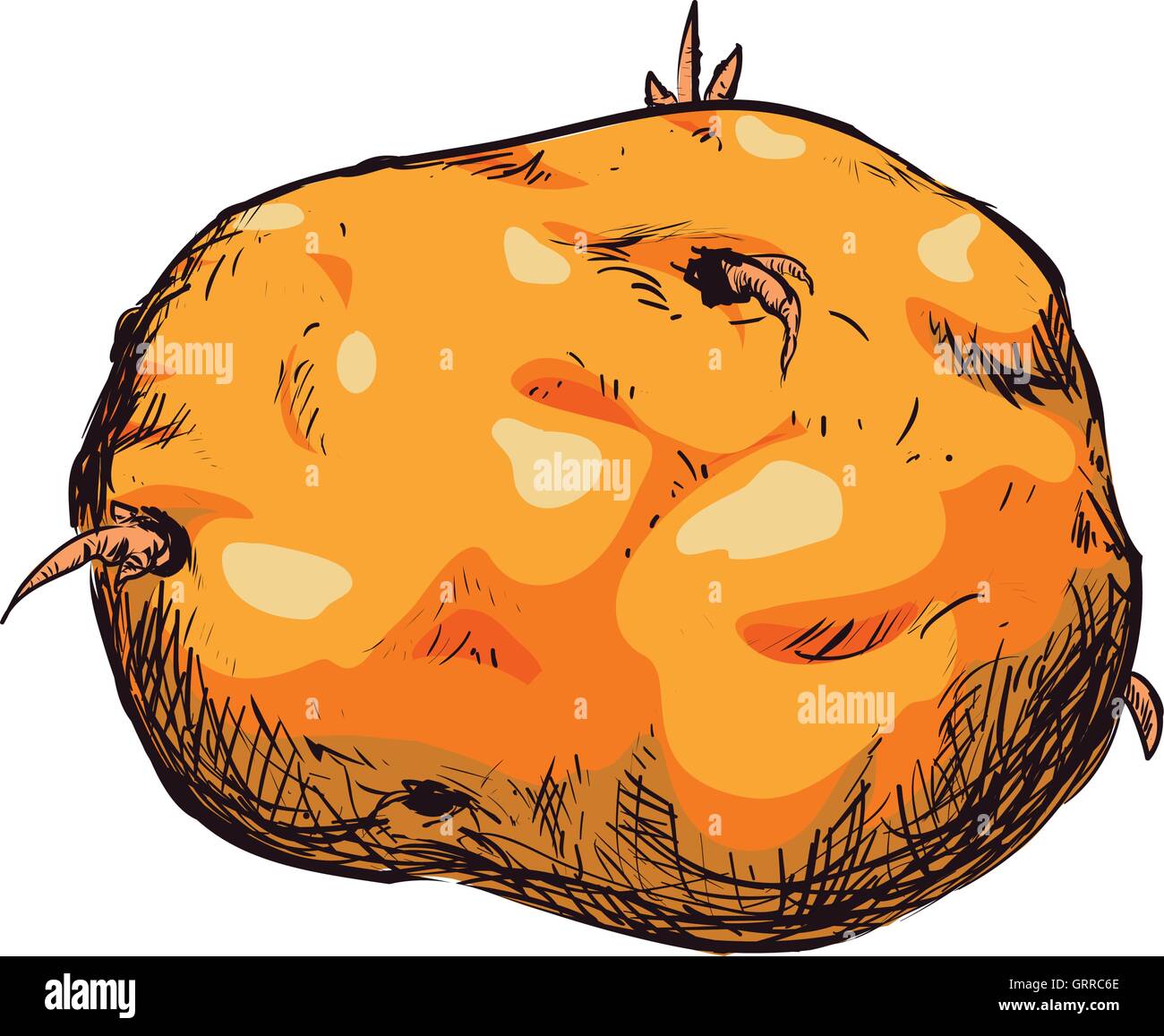 potato sketch vegetable healthy food icon. Vector graphic Stock Vector ...