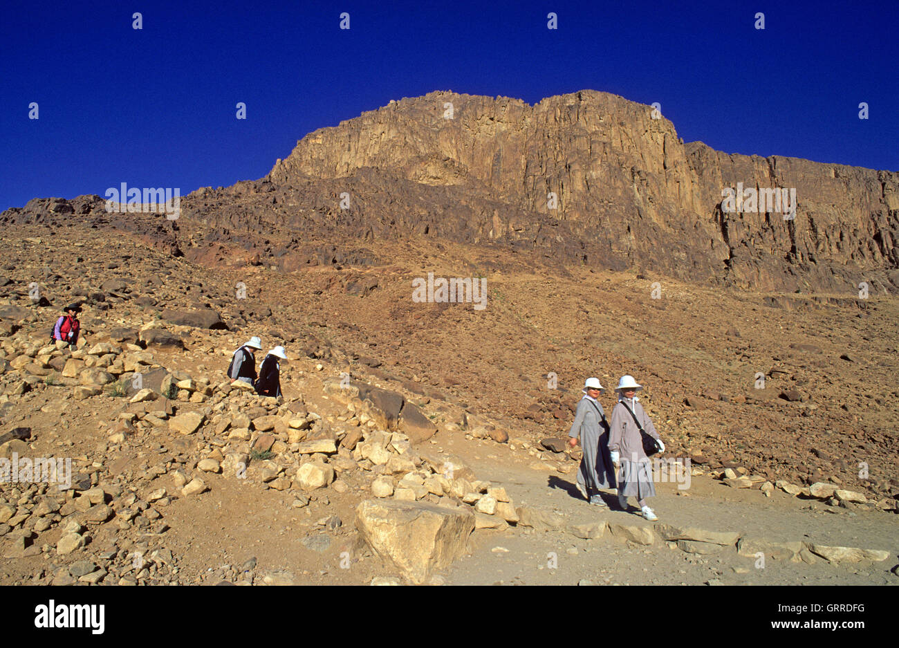 People walking in the Sinai desert, Egypt, Asia Stock Photo - Alamy