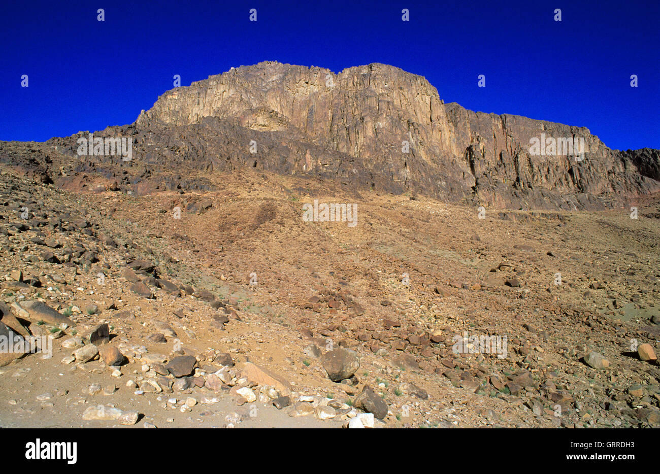 Sinai desert, Egypt, Asia Stock Photo - Alamy