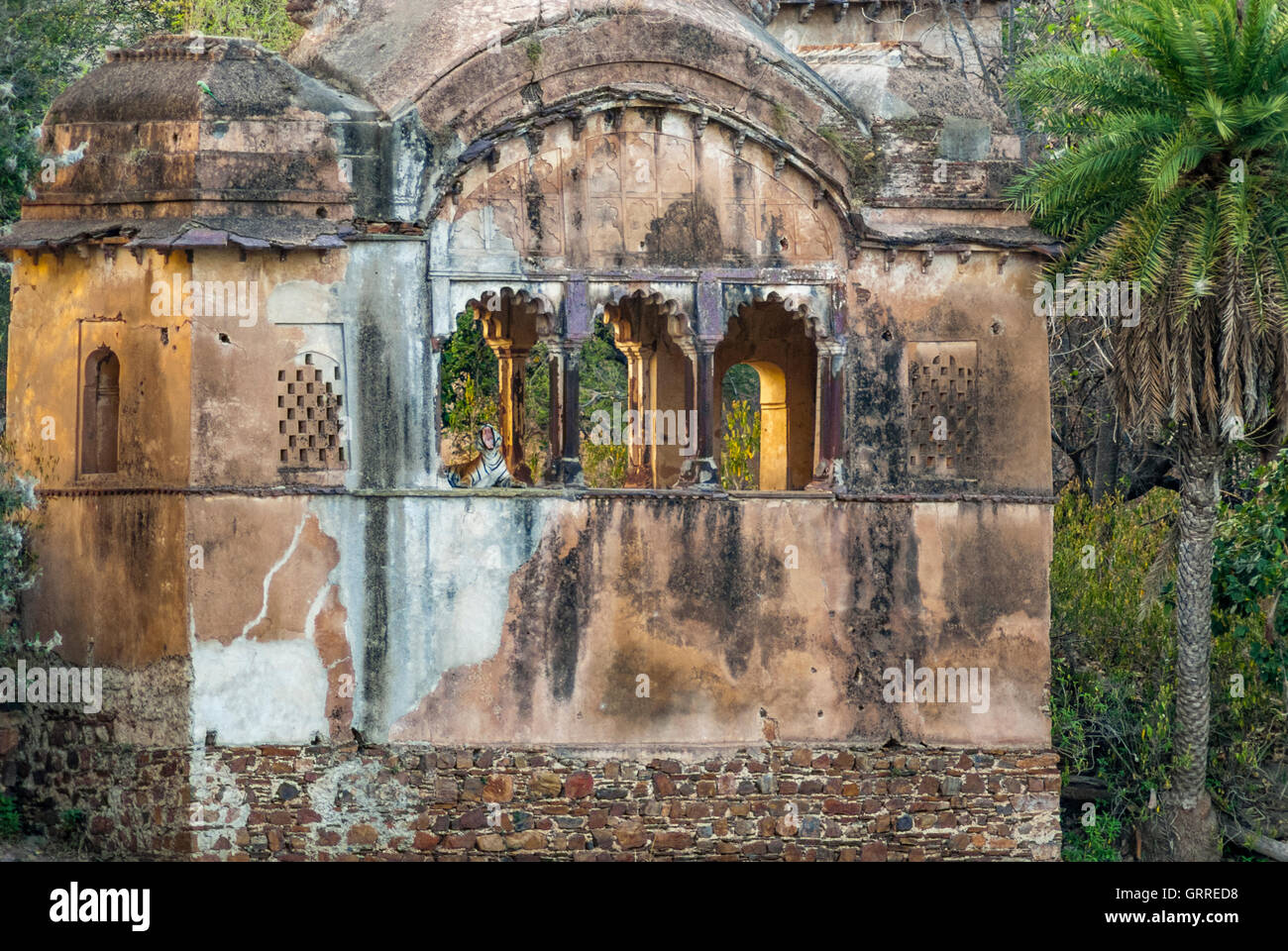 Indian tiger hunting lodge hi-res stock photography and images - Alamy