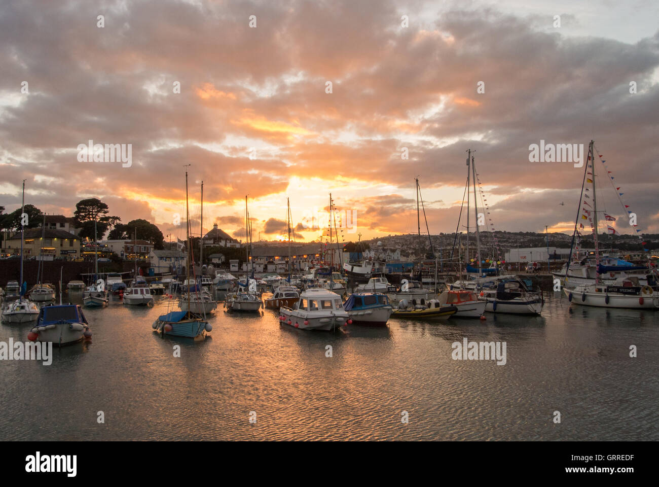 Paignton harbour hi-res stock photography and images - Alamy