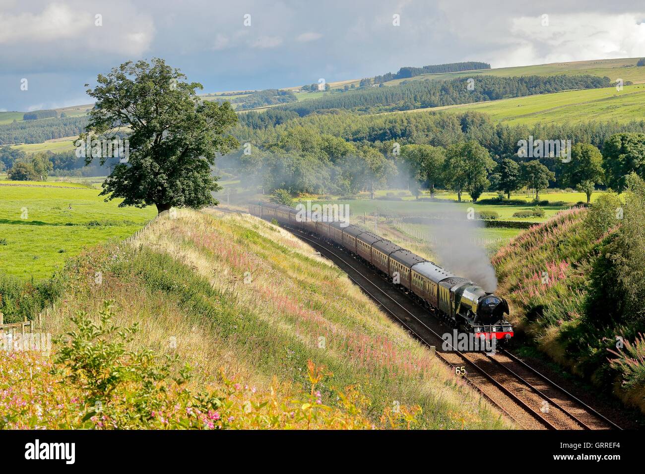 Flying scotsman steam train hi-res stock photography and images - Alamy