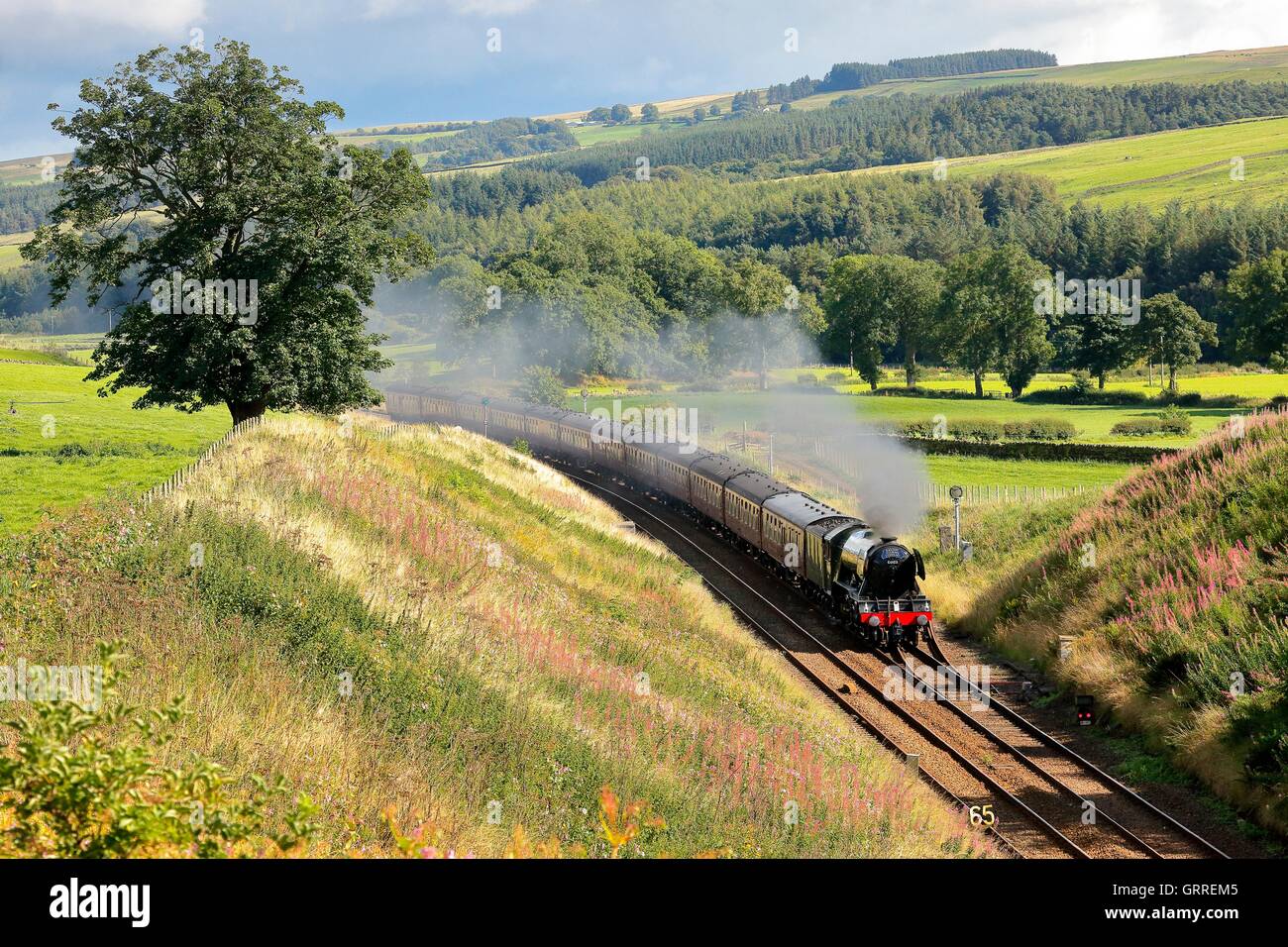Newcastle to carlisle train hi-res stock photography and images - Alamy