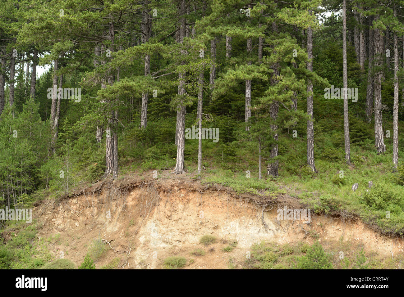Slope Erosion Control High Resolution Stock Photography and Images - Alamy