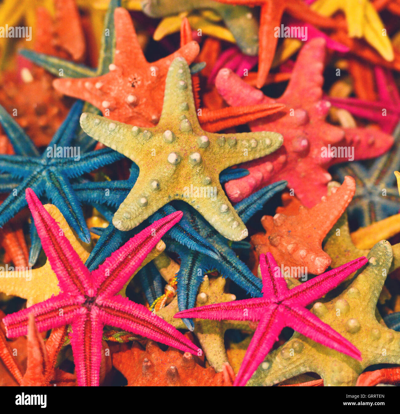 Group of colorful sea stars Stock Photo - Alamy