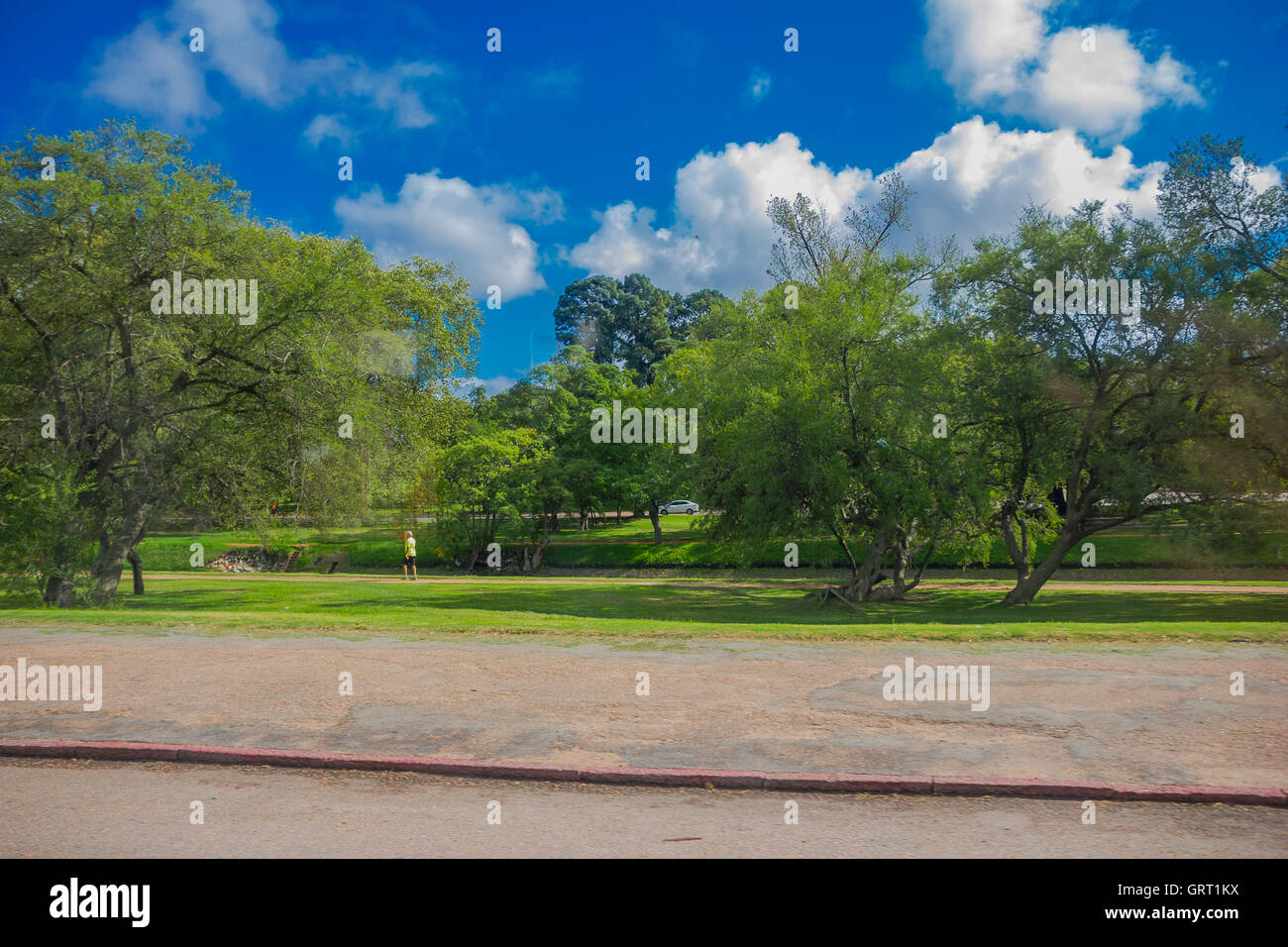 MONTEVIDEO, URUGUAY - MAY 04, 2016: nature scene with some trees in a ...