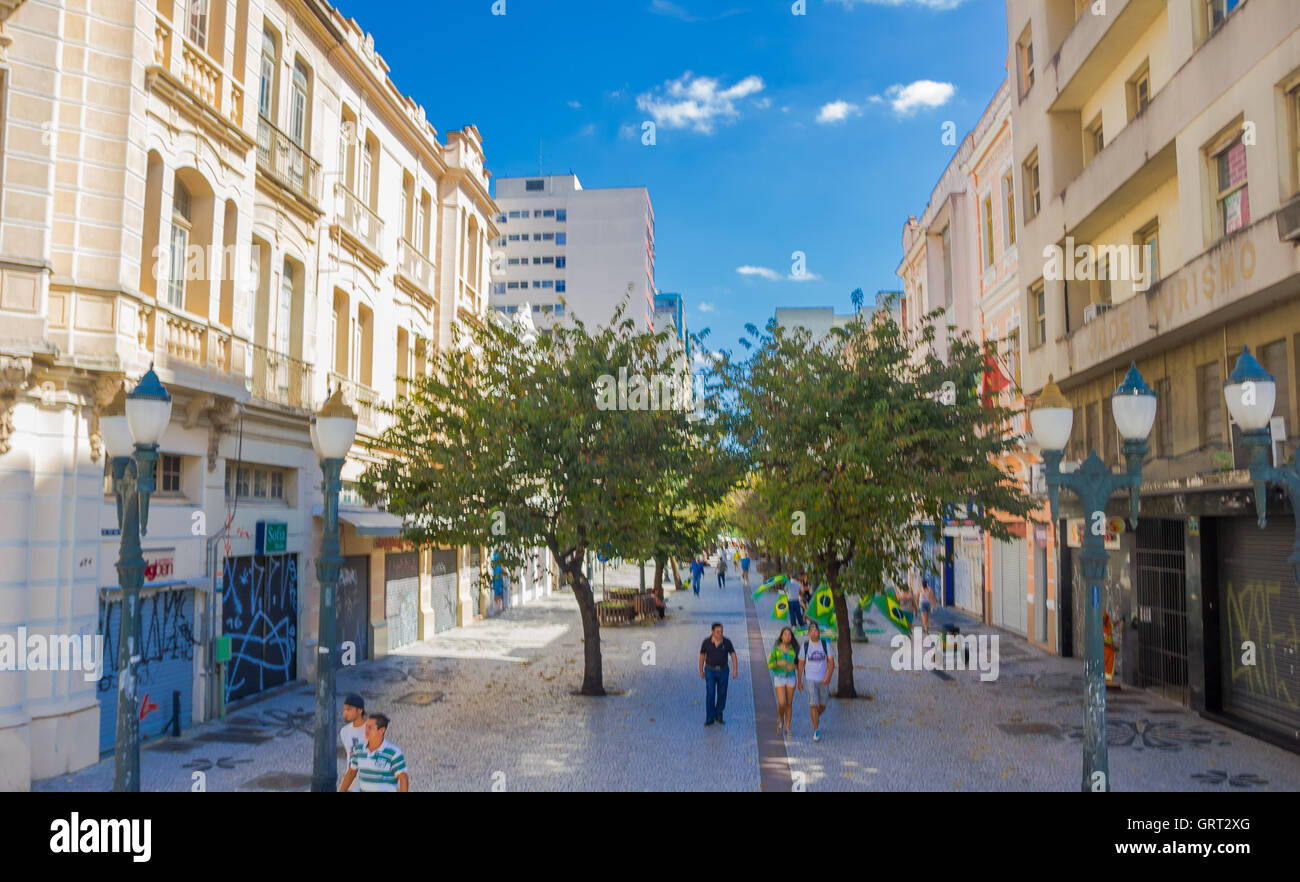 CURITIBA ,BRAZIL - MAY 12, 2016: two big trees located in the middle of ...