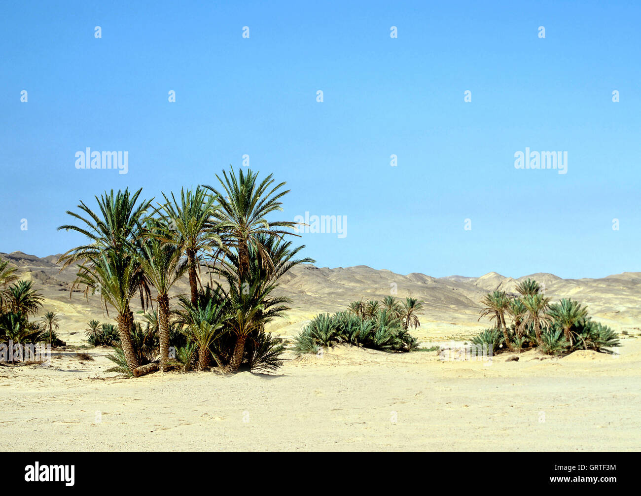 Tur Sinai High Resolution Stock Photography and Images - Alamy