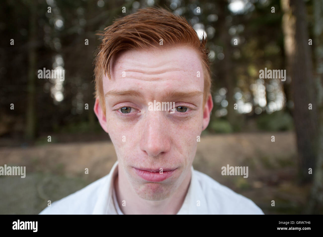 Ginger teenage boy Stock Photo - Alamy