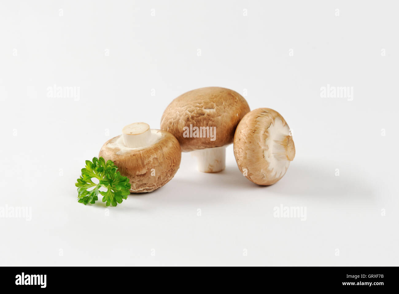 Brown roman hi-res stock photography and images - Alamy