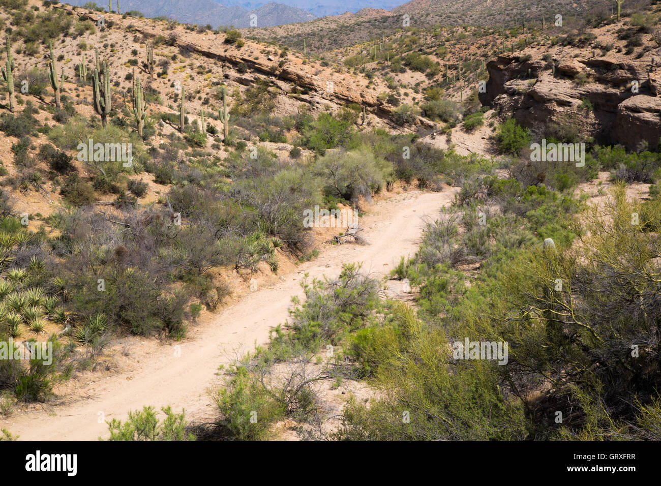 A dry wash winding through the Ripsey Wash area of the Tortilla ...