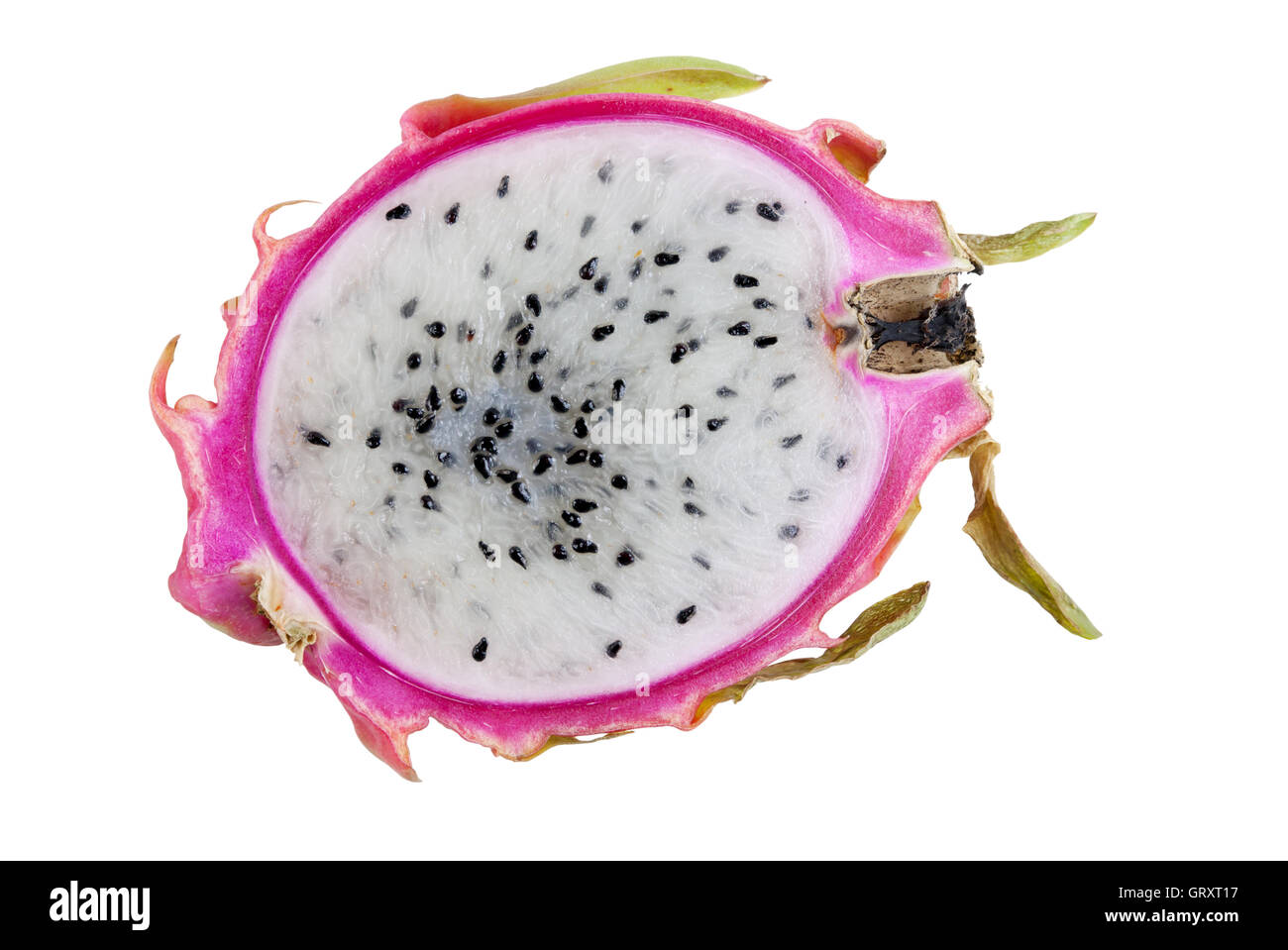 Close up red dragon fruit Cut Out Stock Images & Pictures - Alamy