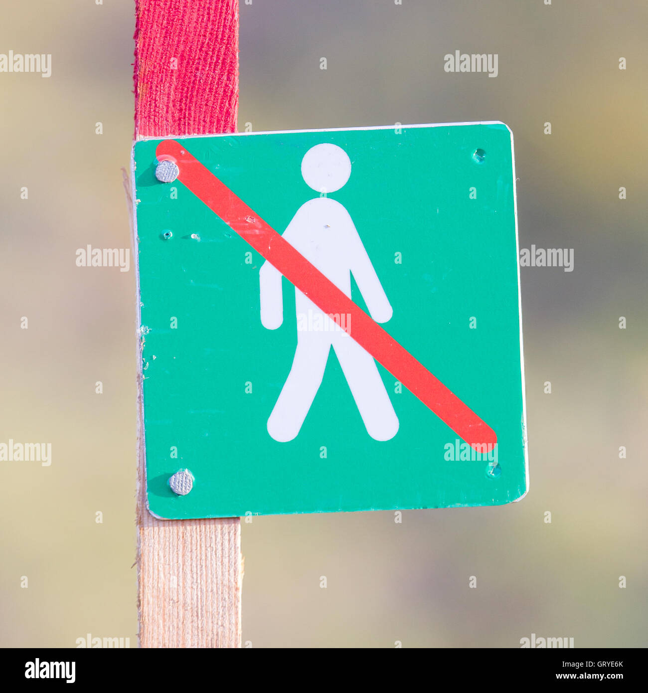 Forbidden to walk over here - Sign in Iceland Stock Photo - Alamy