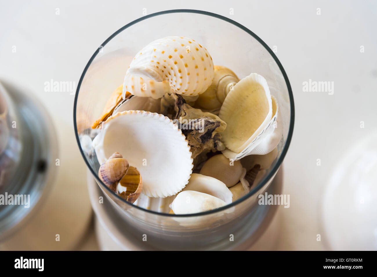 various shells in glass Stock Photo - Alamy