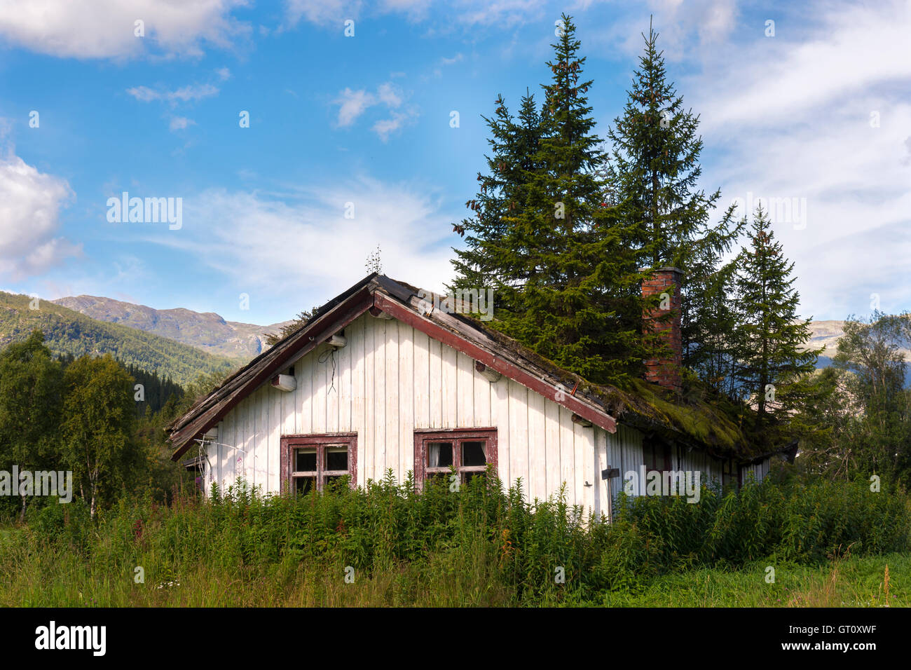 Fir building hi-res stock photography and images - Alamy