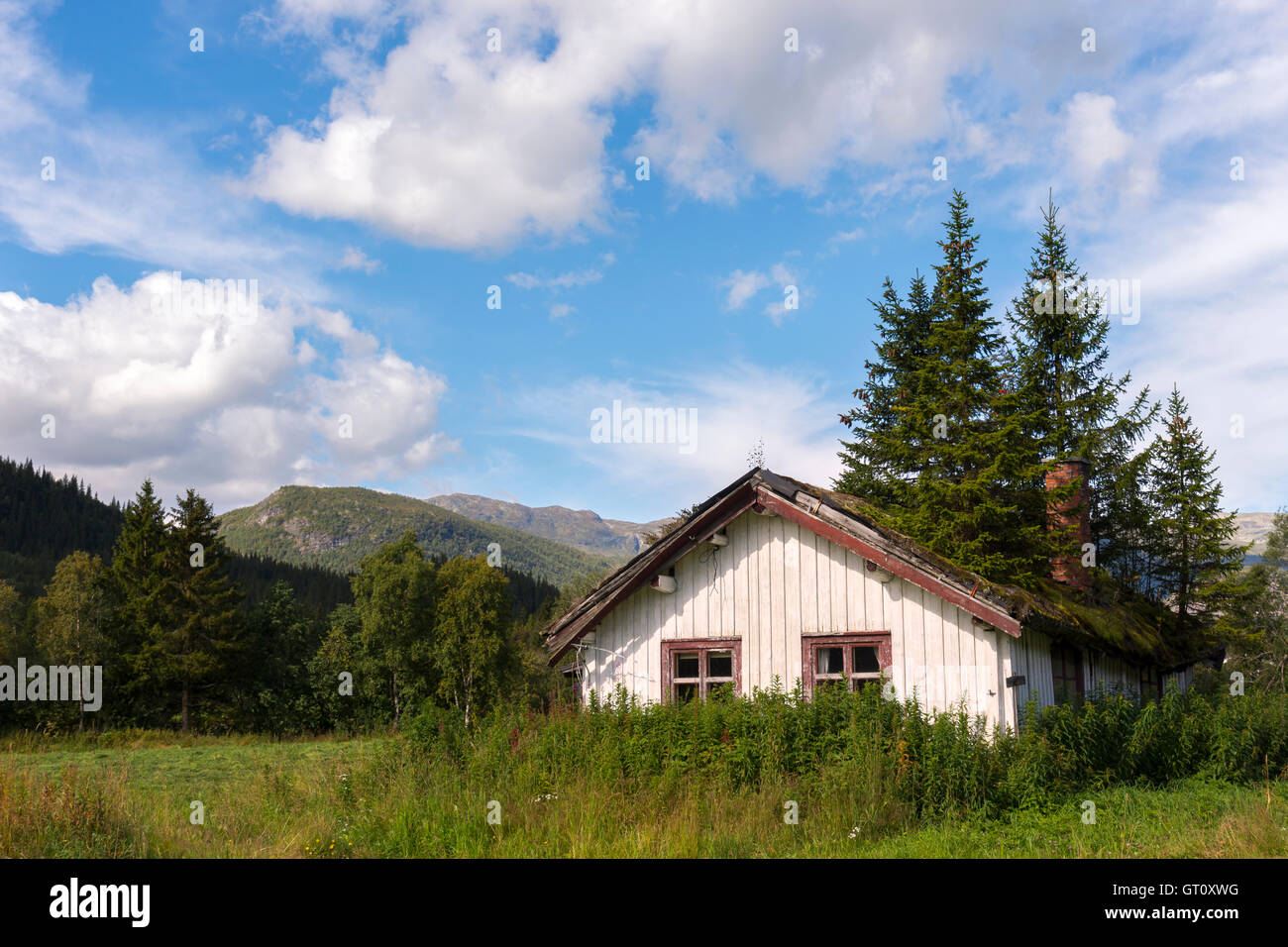 Fir house hi-res stock photography and images - Alamy