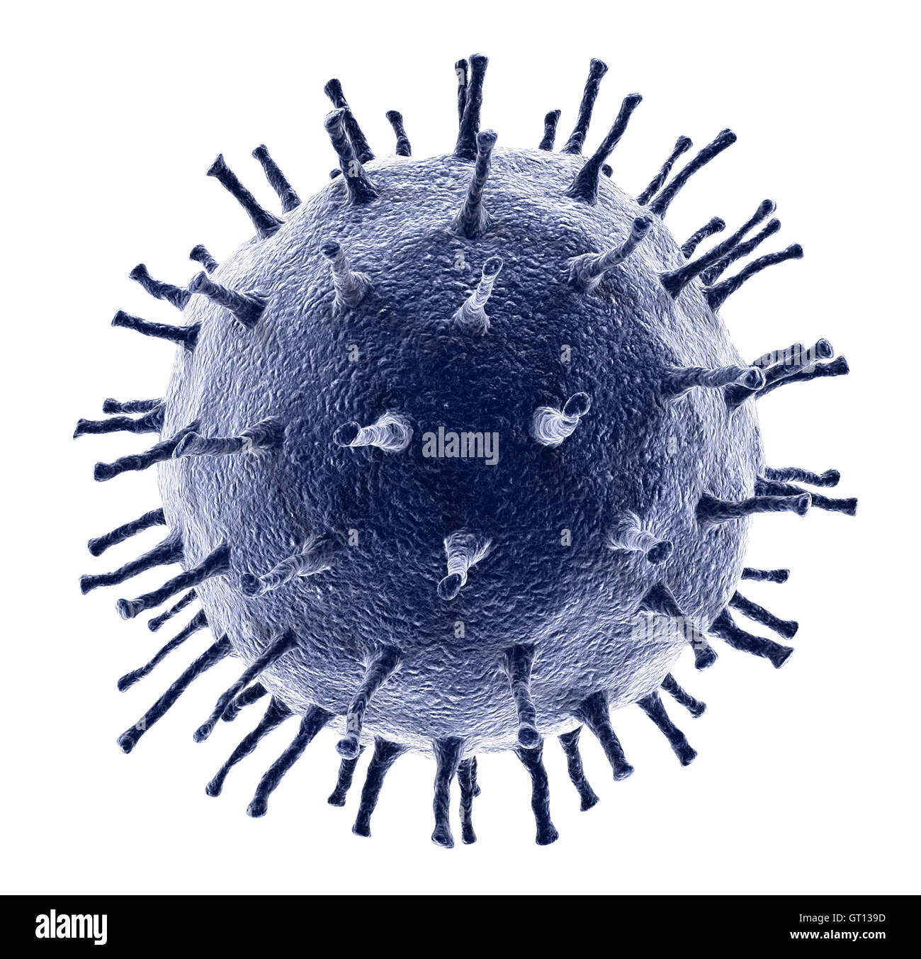 Human pathogen bacteria Cut Out Stock Images & Pictures - Alamy