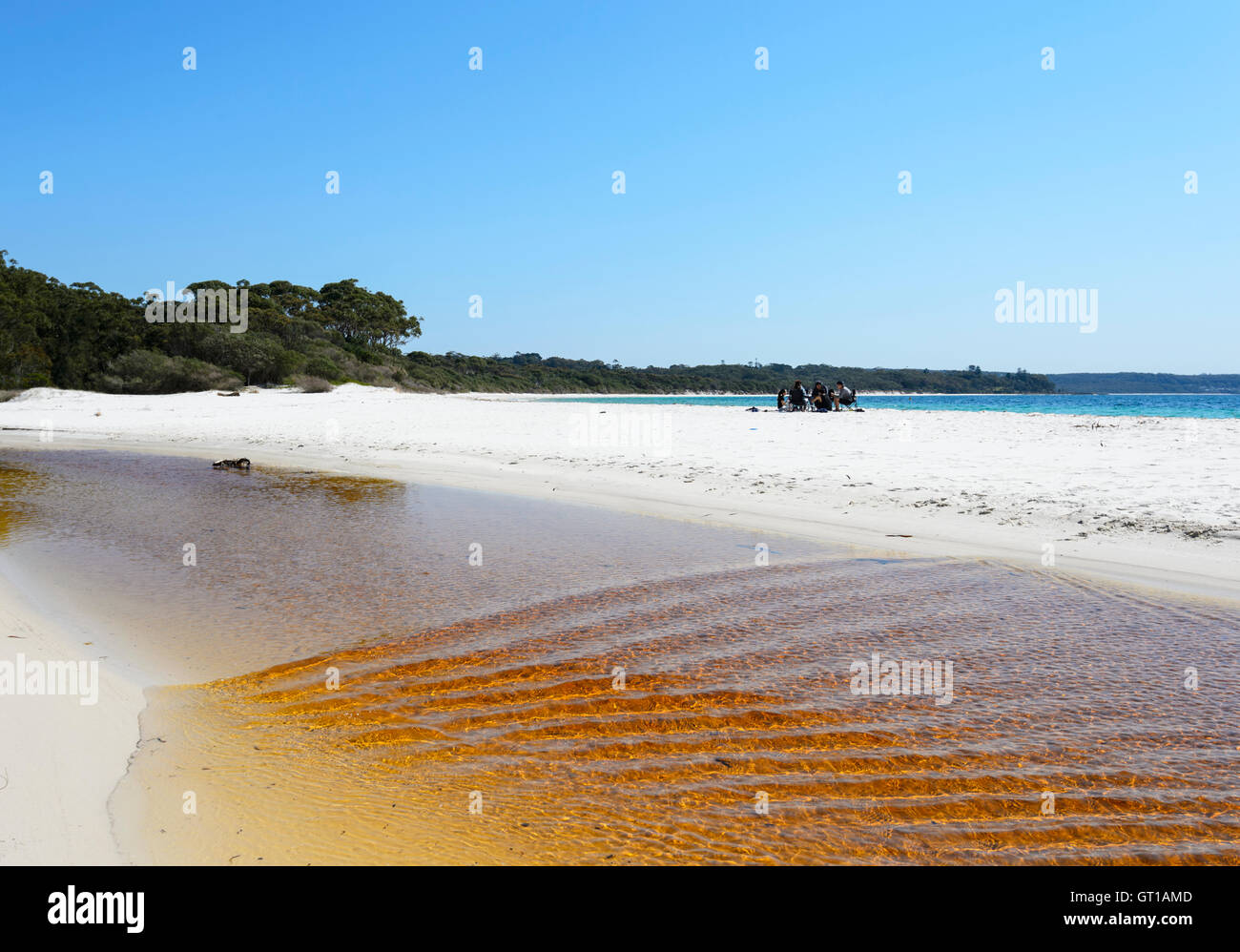 View of Green Patch with a tannin stained creek, in picturesque Jervis ...