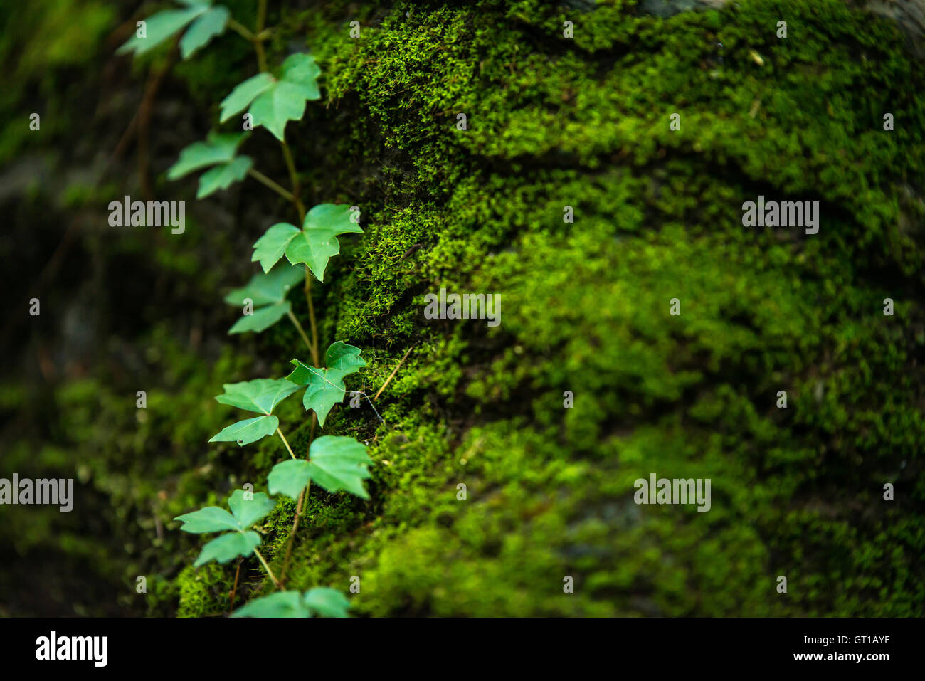 Beautiful boulder hi-res stock photography and images - Alamy