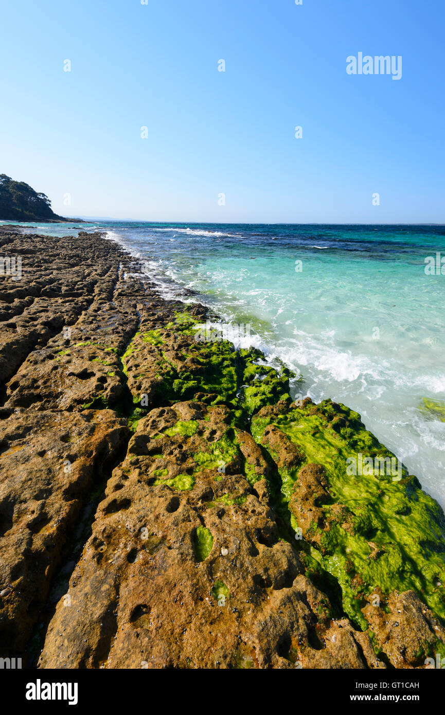Australian rocky beach hi-res stock photography and images - Alamy