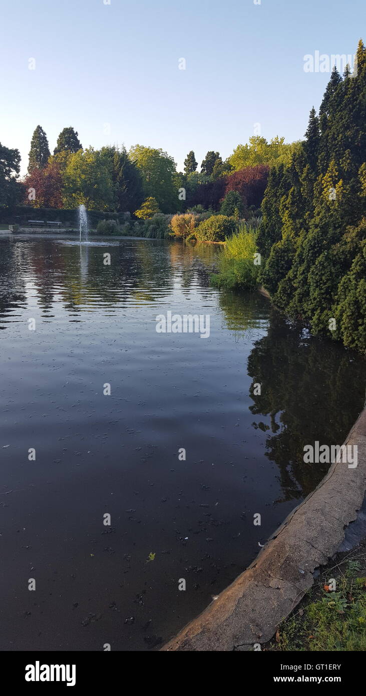 Pinner park lake Stock Photo - Alamy