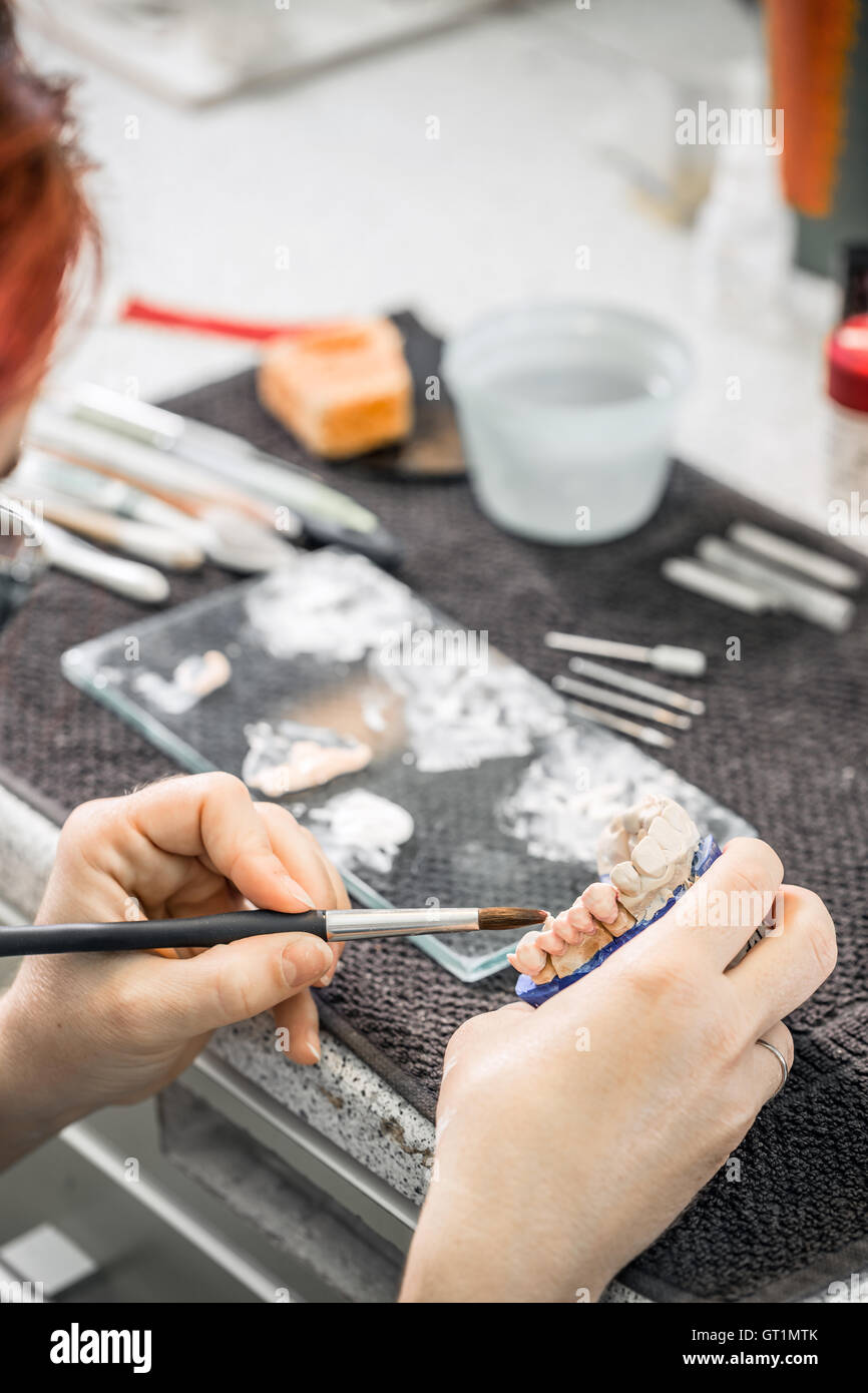 Plastic dental teeth model on hi-res stock photography and images - Alamy