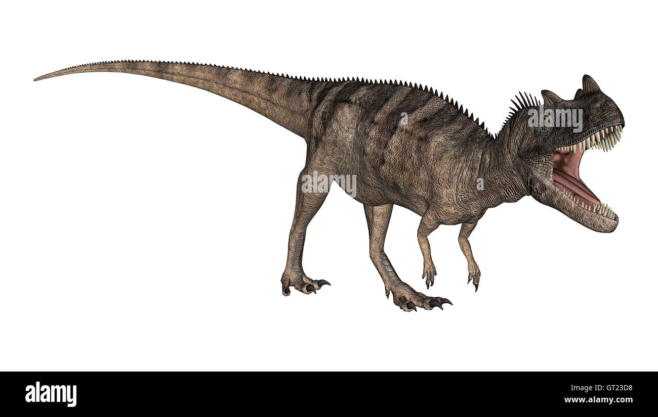 3D rendering of a dinosaur Ceratosaurus isolated on white background ...
